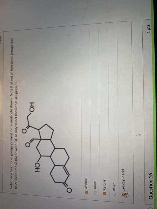 Solved Select any functional groups present in the molecule | Chegg.com