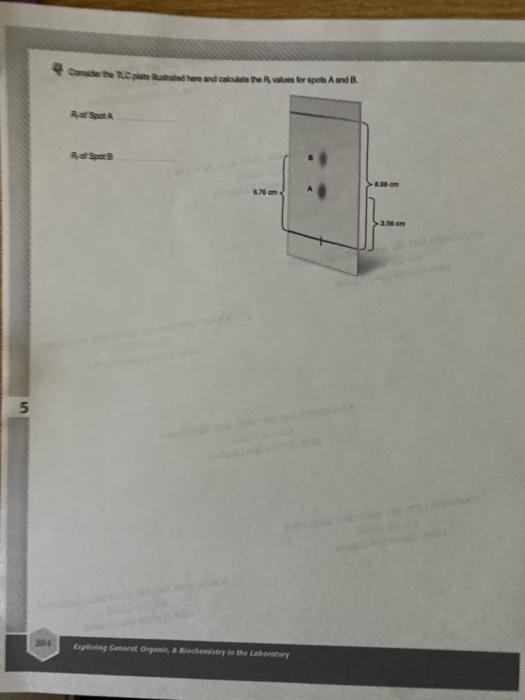 Solved Mackenzie Heart Name Lab Partner Pre-laboratory | Chegg.com
