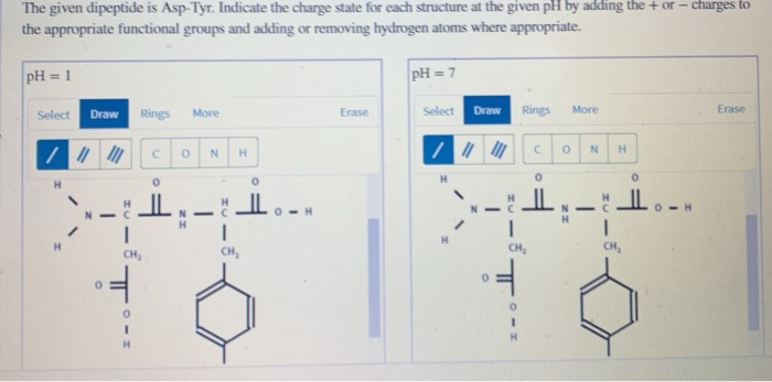 Solved The given dipeptide is Asp-Tyr. Indicate the charge | Chegg.com