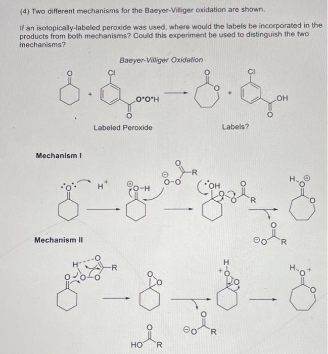 Solved (4) Two different mechanisms for the Baeyer-Villiger | Chegg.com