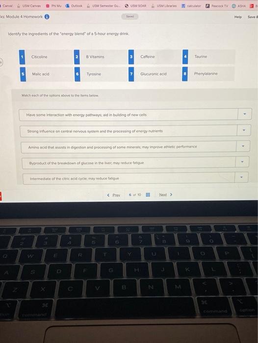 Solved USMC PM Outlook USM USM SO USM Libraries ca Peacock | Chegg.com