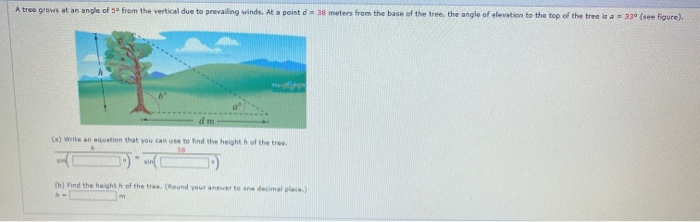 Solved A tree grows at an angle of from the vertical due to | Chegg.com