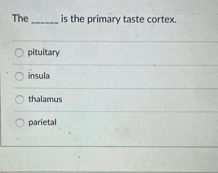 Solved The ______ ______ is the primary taste cortex. | Chegg.com