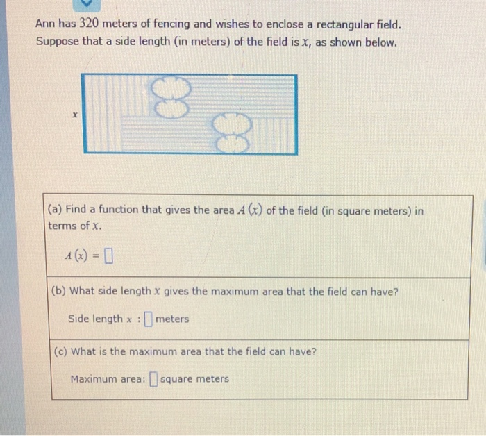 Solved Ann has 320 meters of fencing and wishes to enclose a | Chegg.com