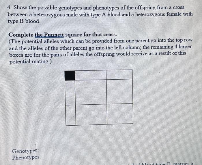 Solved 4. Show the possible genotypes and phenotypes of the | Chegg.com