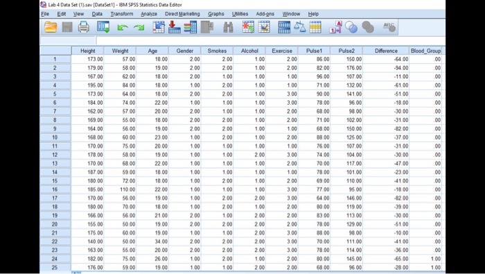 a Lab 4 Data Set (1) sav (DataSet1) - IBM SPSS | Chegg.com