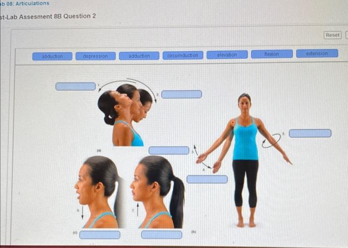 Solved st-Lab Assesment 8B Question 2 | Chegg.com