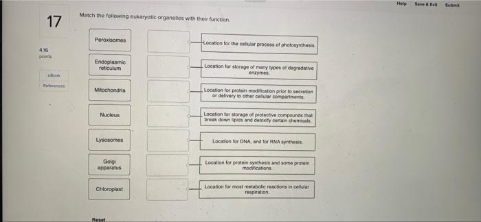 Solved Help Save & EX Subm Match the following bacterial | Chegg.com