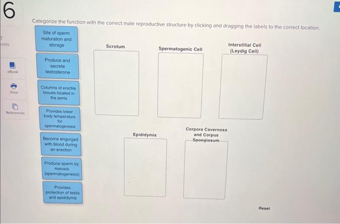 Solved Categorize the function with the correct male | Chegg.com