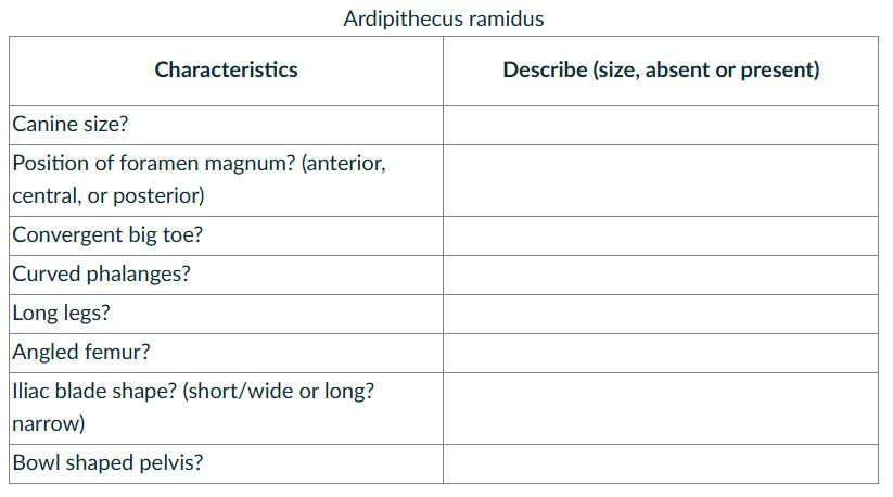Solved Ardipithecus Ramidus Is A 4 4 ﻿mya Fossil Discovered
