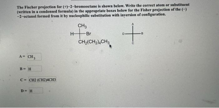 Solved The Fischer projection for (+)−2− bromooctane is | Chegg.com