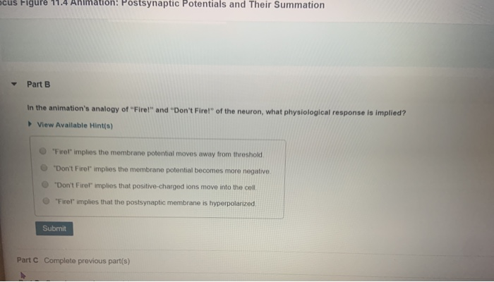 Solved Ocus Figure 11 4 Animation Postsynaptic Potentials