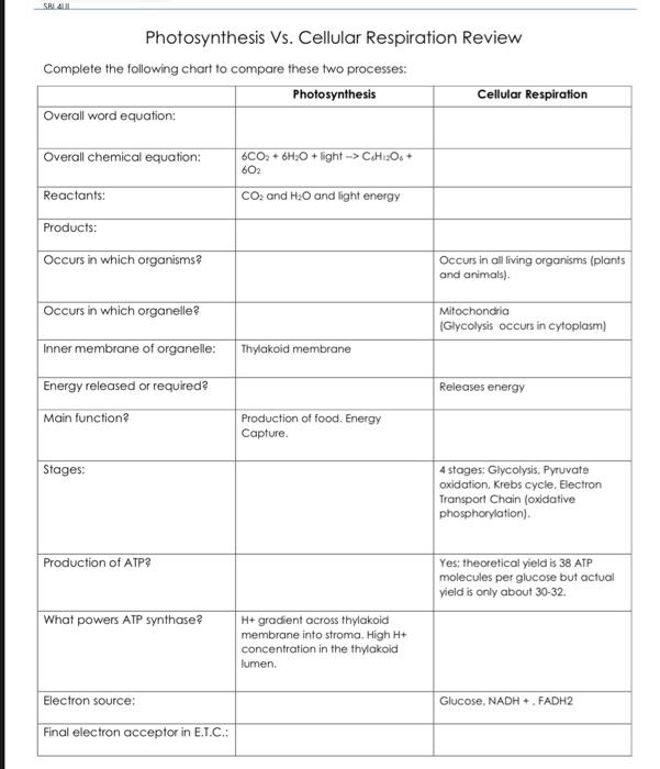 Solved Photosynthesis Vs. Cellular Respiration Review | Chegg.com