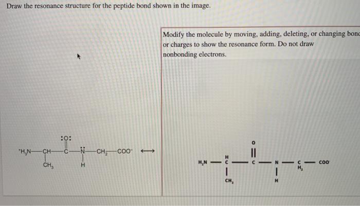 Solved Draw the resonance structure for the peptide bond | Chegg.com