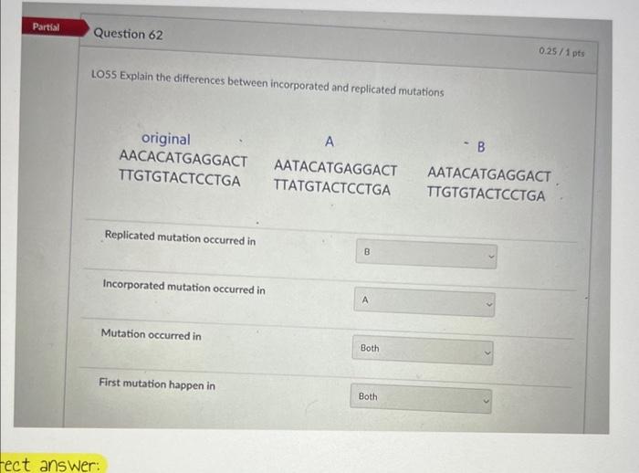 Solved L.O55 Explain the differences between incorporated | Chegg.com