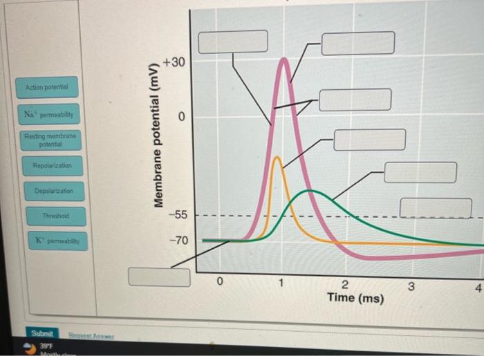 Solved artAWhich of the following mechanisms is most | Chegg.com
