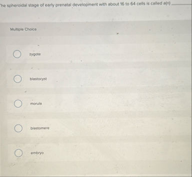 Solved The spheroidal stage of early prenatal development | Chegg.com