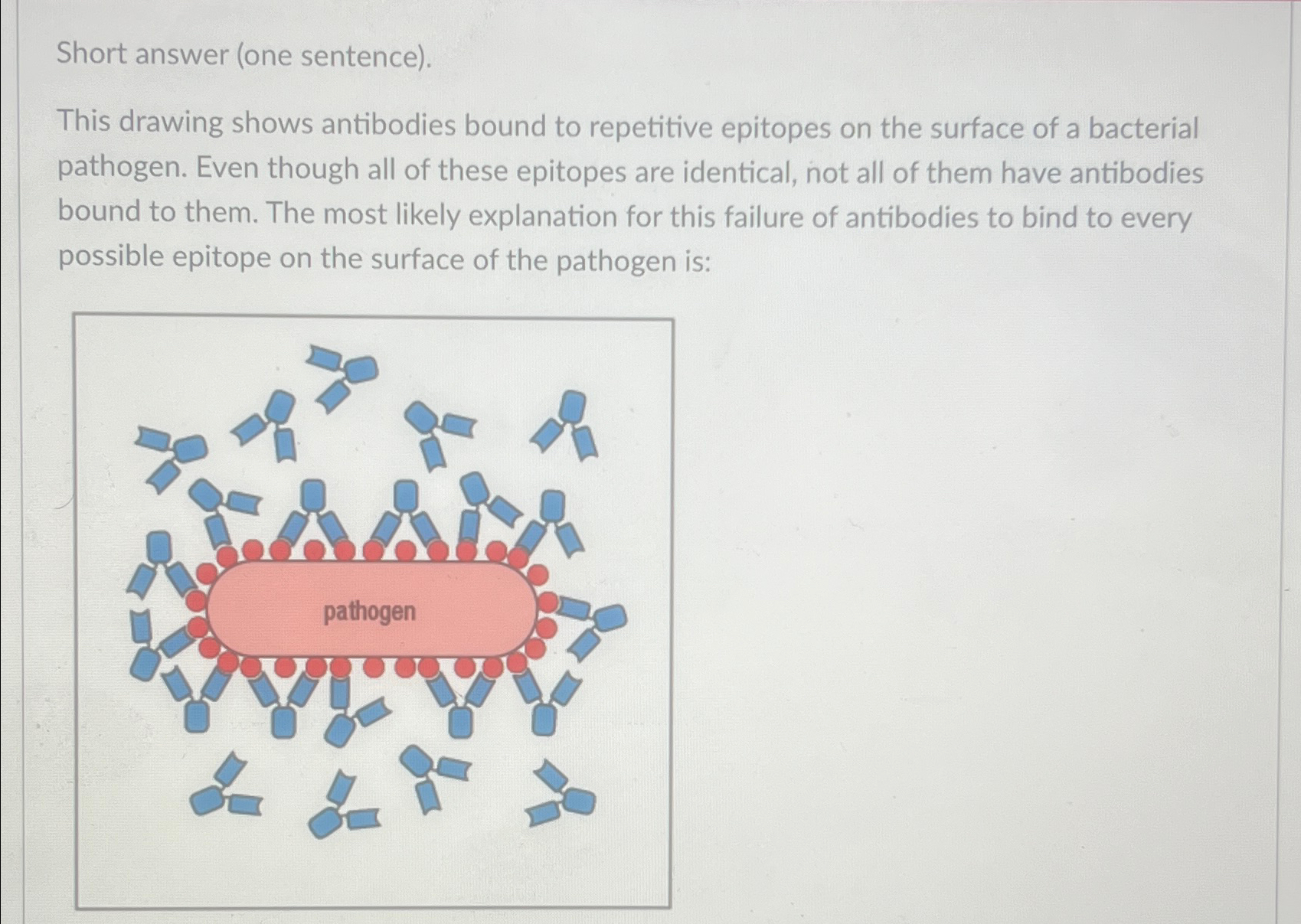Solved Short answer (one sentence).This drawing shows | Chegg.com