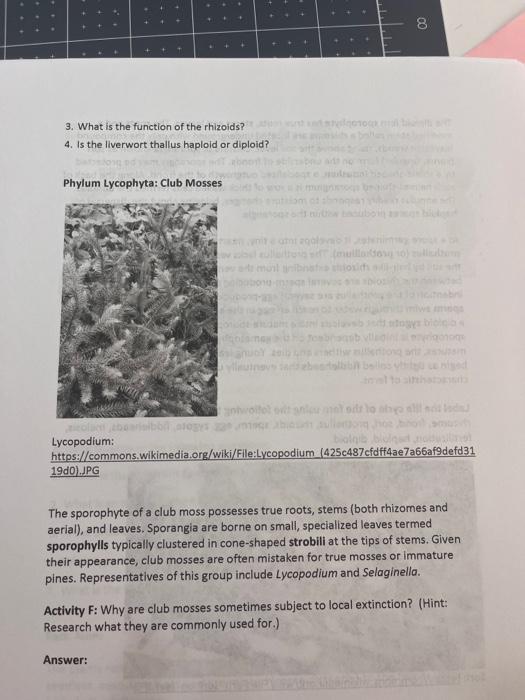 Solved Activity A: Label parts A-F in the diagram above with | Chegg.com
