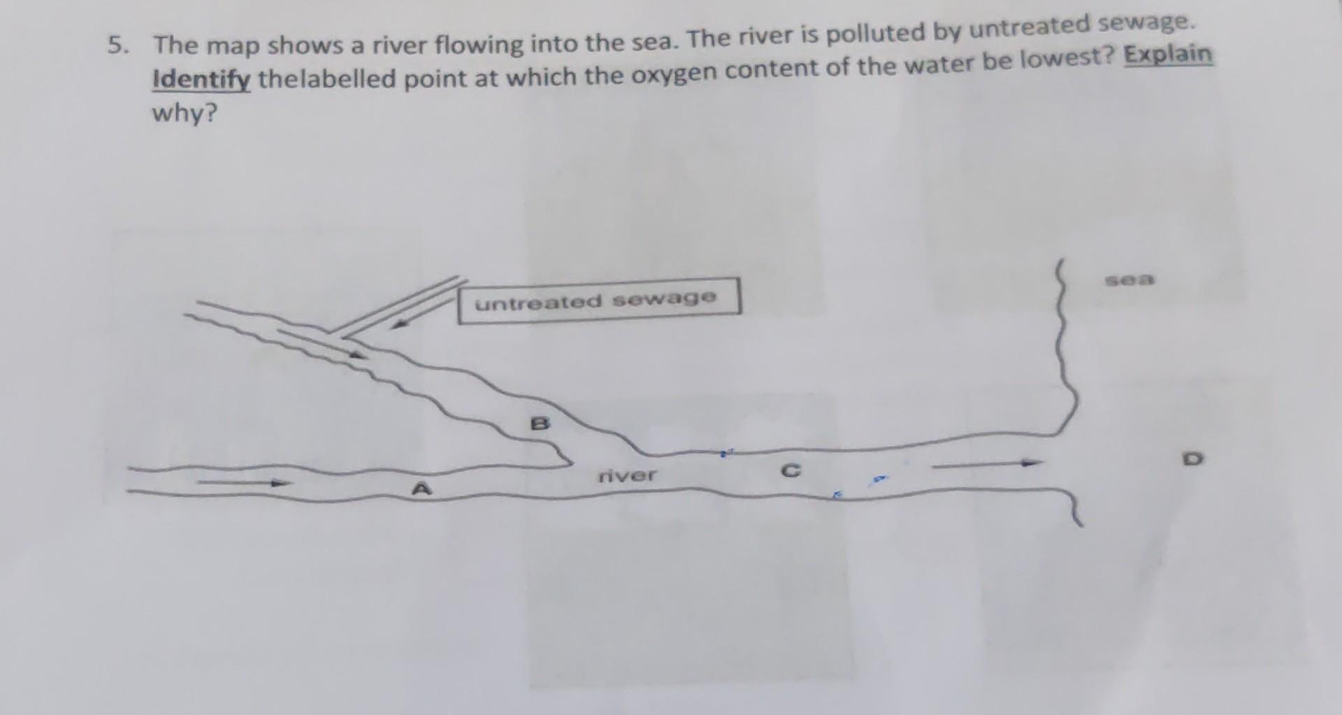 Solved the river is polluted by untreated sewage identify | Chegg.com
