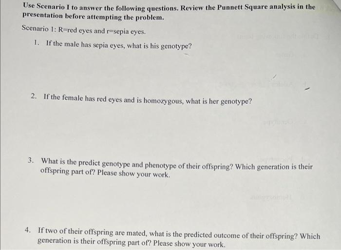 Solved Use Scenario I to answer the following questions. | Chegg.com