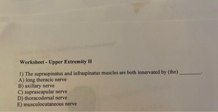 [Solved]: Worksheet - Upper Extremity II 1) The supraspinat
