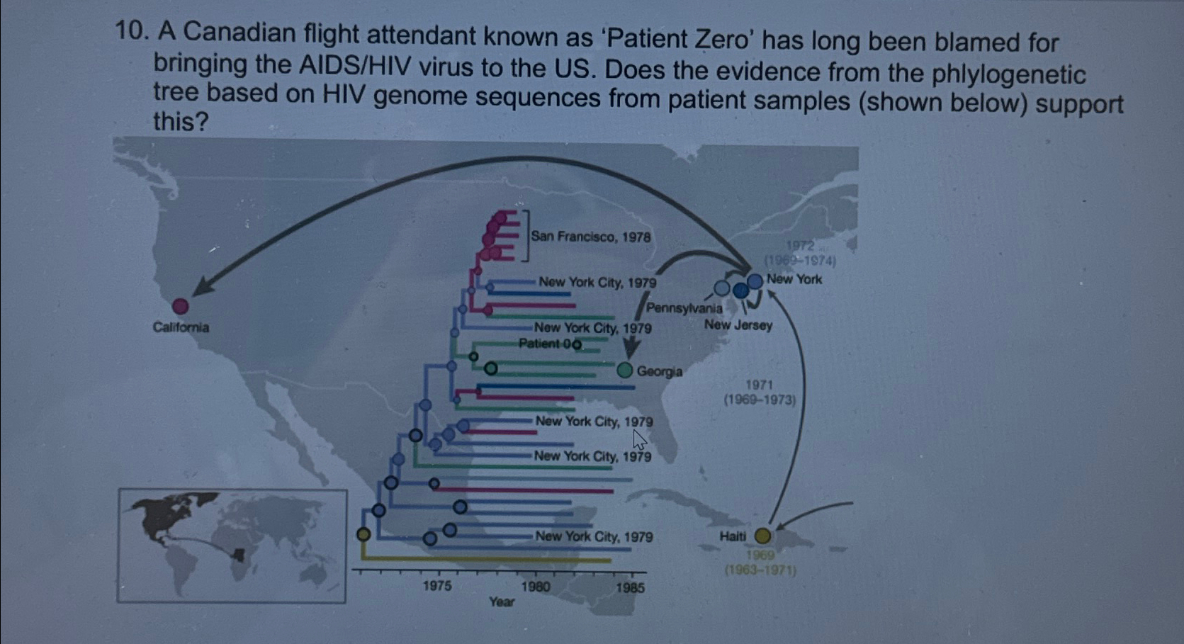 Solved A Canadian flight attendant known as 'Patient Zero' | Chegg.com
