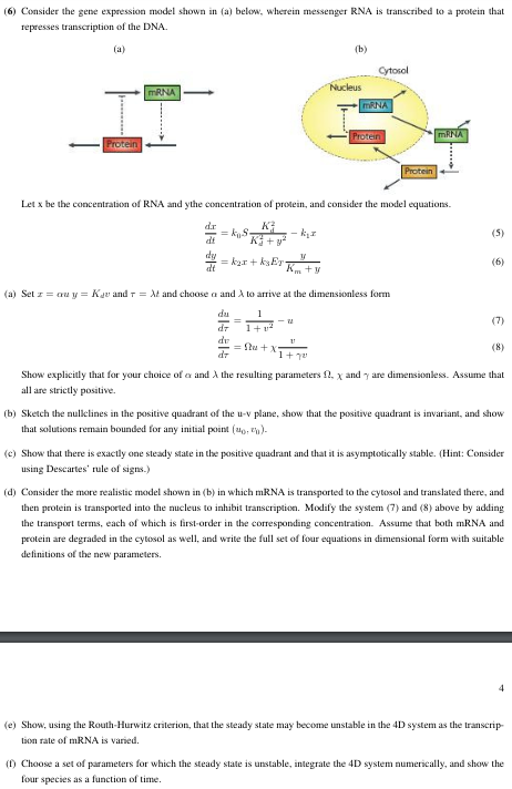 Solved (6) ﻿Consider the gene expression model shown in (a) | Chegg.com