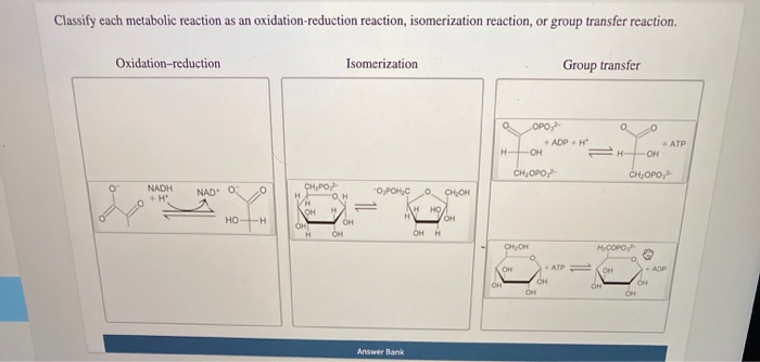 Solved Classify each metabolic reaction as an | Chegg.com