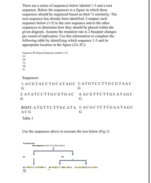 Solved There are a series of sequences below labeled 1-5 and | Chegg.com