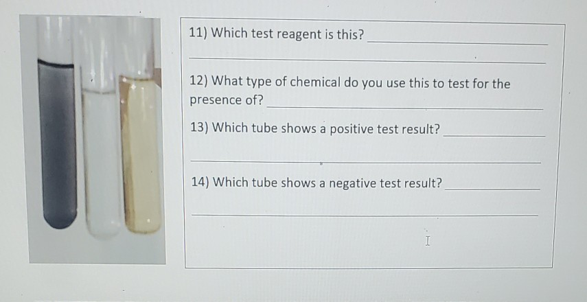 Solved 11) Which test reagent is this? 12) What type of | Chegg.com