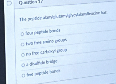 Solved Question 17The peptide | Chegg.com