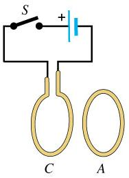Solved The vertical loops A and C in the figure are parallel | Chegg.com