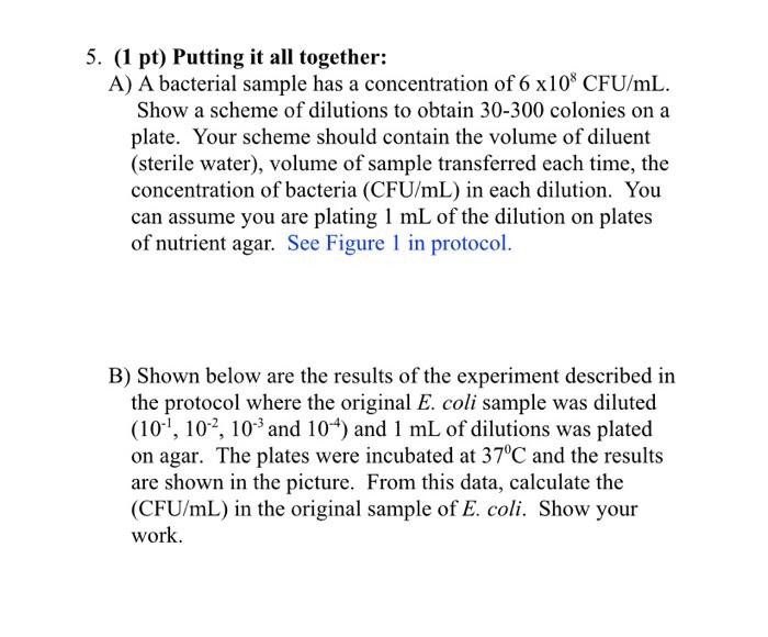 Solved 5. (1 pt) Putting it all together: A) A bacterial | Chegg.com
