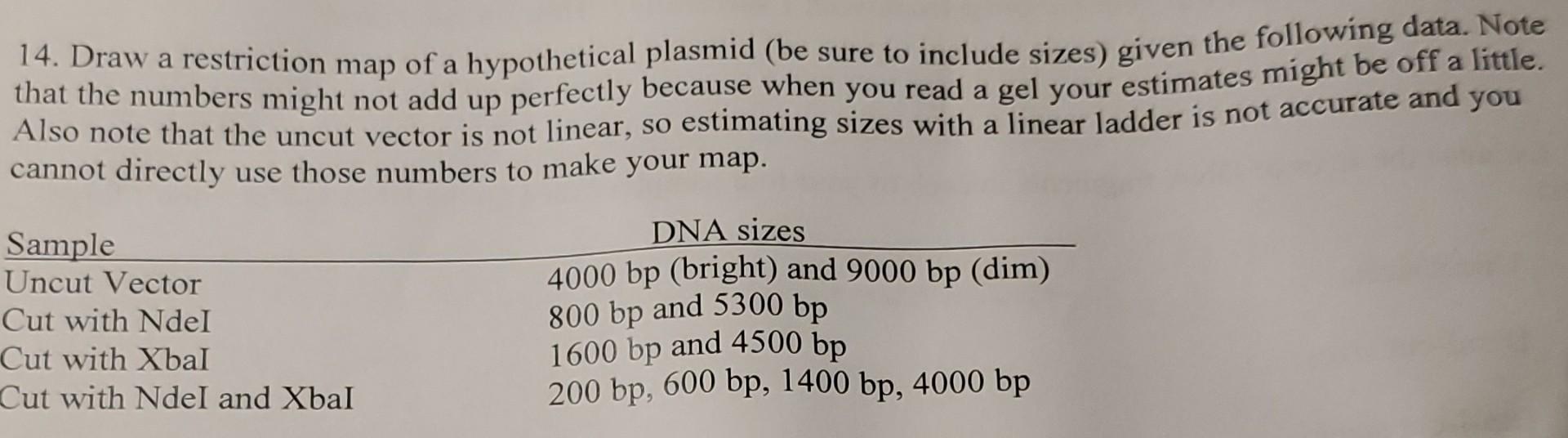 Solved a 14. Draw a restriction map of a hypothetical | Chegg.com