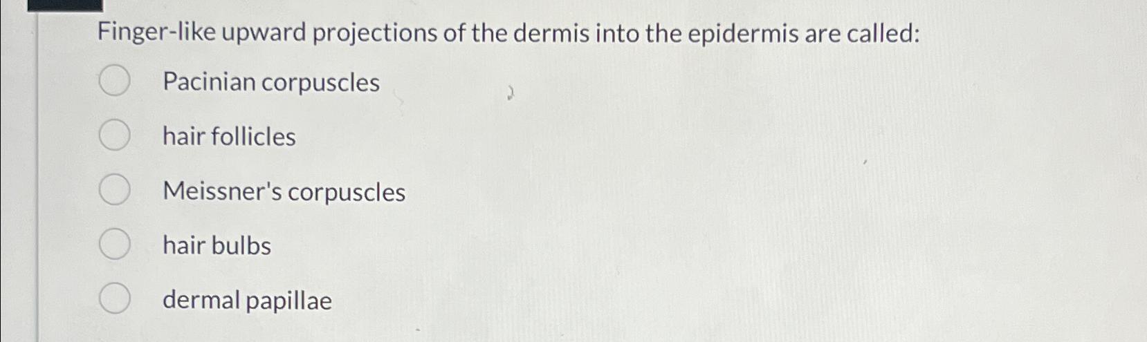 Solved Finger-like upward projections of the dermis into the | Chegg.com