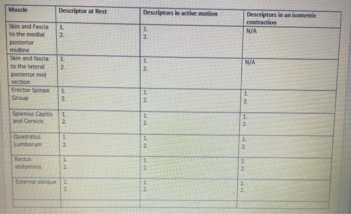 Solved Descriptors at rest 1 2. Descriptors in active motion | Chegg.com