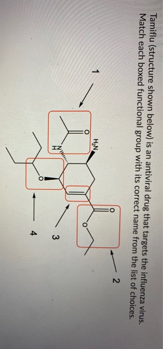 Solved Tamiflu (structure shown below) is an antiviral drug | Chegg.com