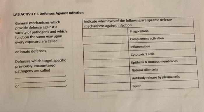 Solved LAB ACTIVITY 5 Defenses Against Infection General | Chegg.com