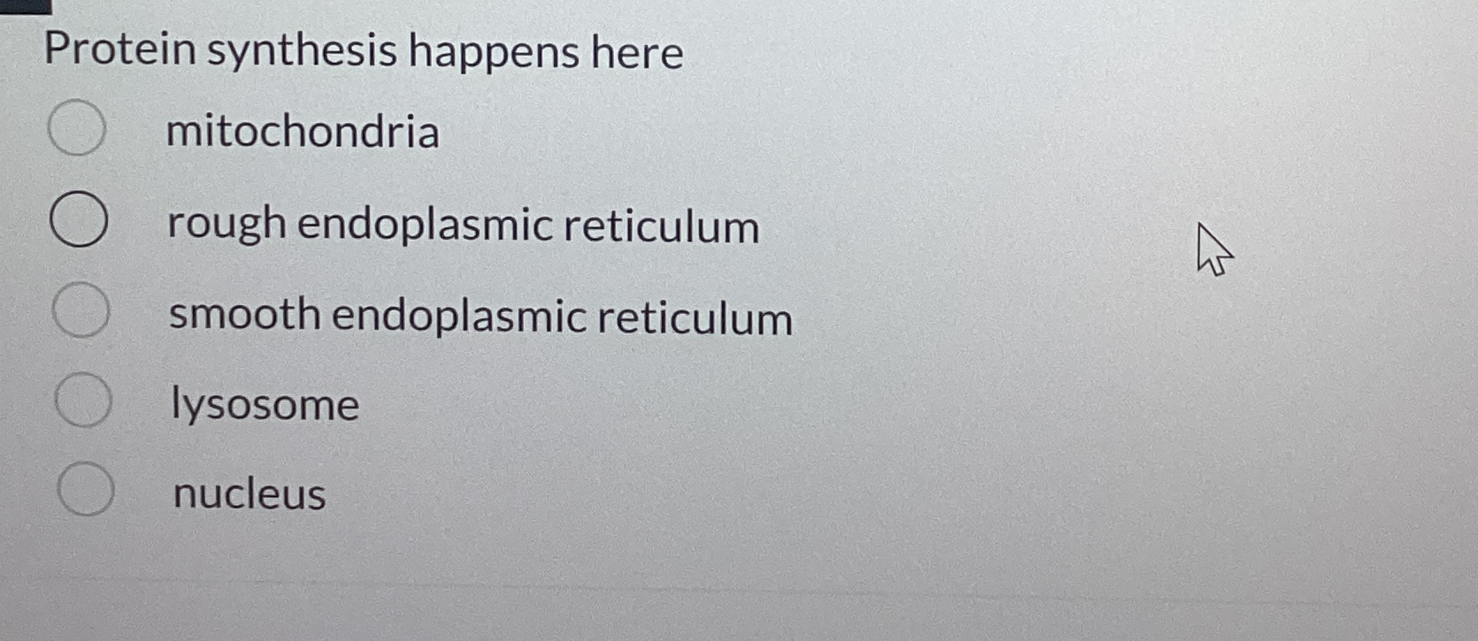 Solved Protein synthesis happens heremitochondriarough | Chegg.com