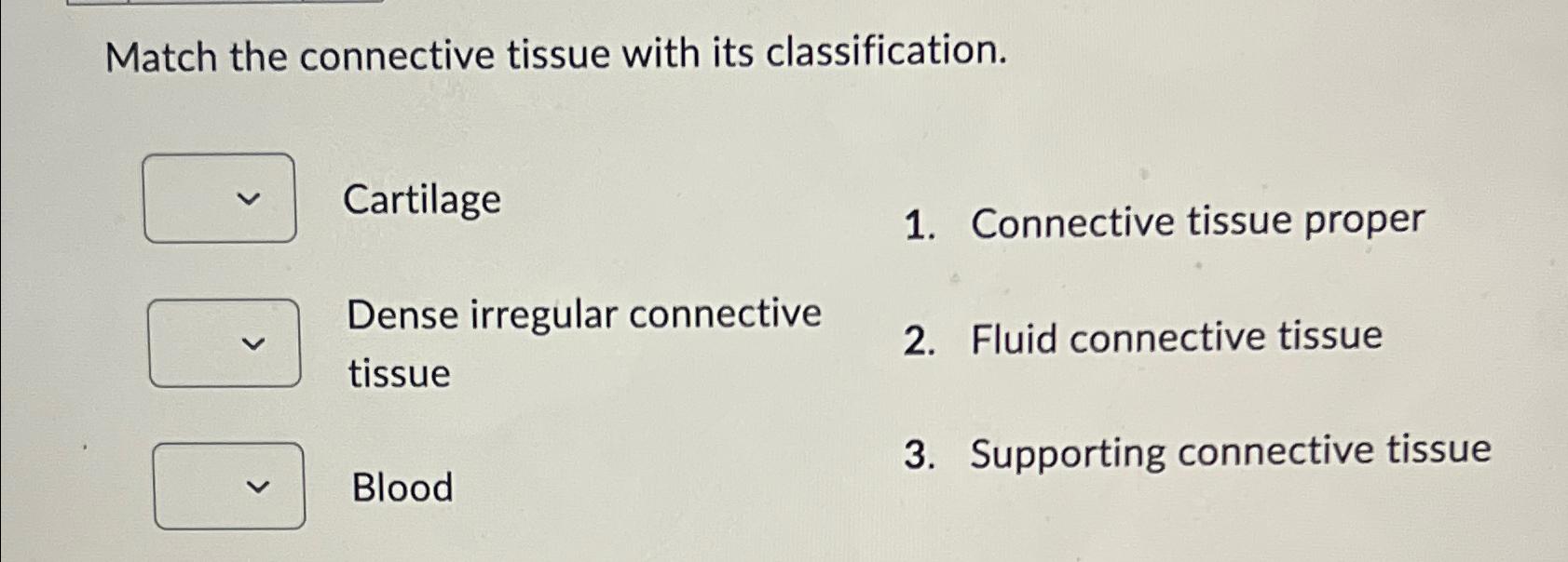 Solved Match the connective tissue with its | Chegg.com Solved Match the connective tissue with its | Chegg.com
