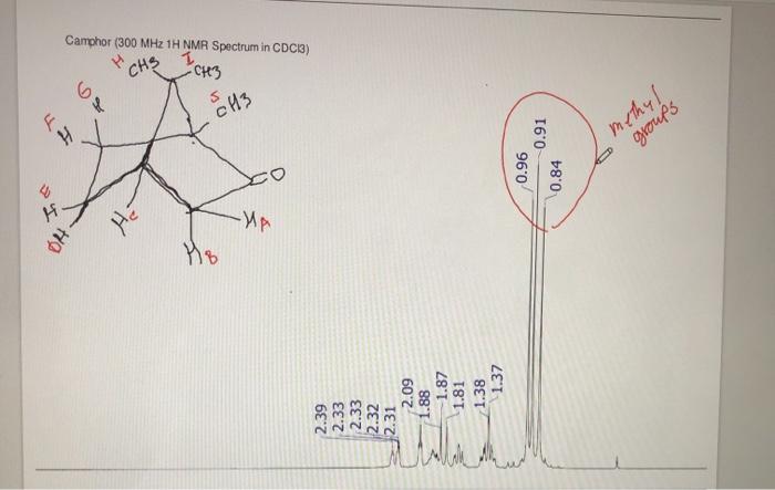 Solved Isoborneol (300 MHz 1H NMR Spectrum in CDC13) 1.02 | Chegg.com