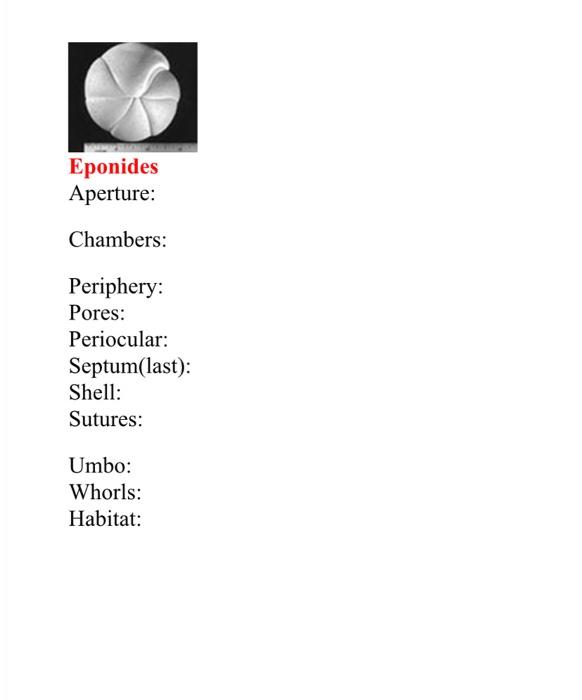 Solved Eponides Aperture: Chambers: Periphery: Pores: | Chegg.com
