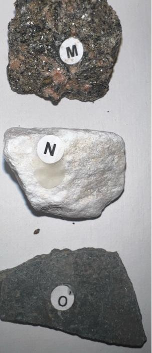 Solved 2000( )1. A possible protolith for Sample M is: a. | Chegg.com