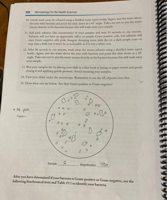 Solved Lab 19: Genus Unknown 217 Background If we were to | Chegg.com