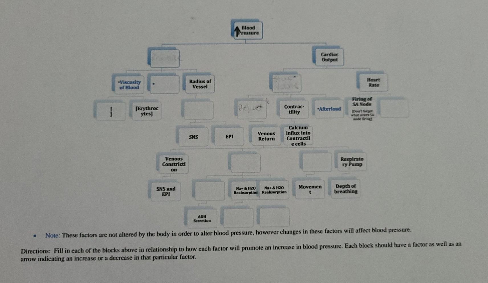 Solved Blood Pressure Cardiac Output Viscosity of Blood | Chegg.com