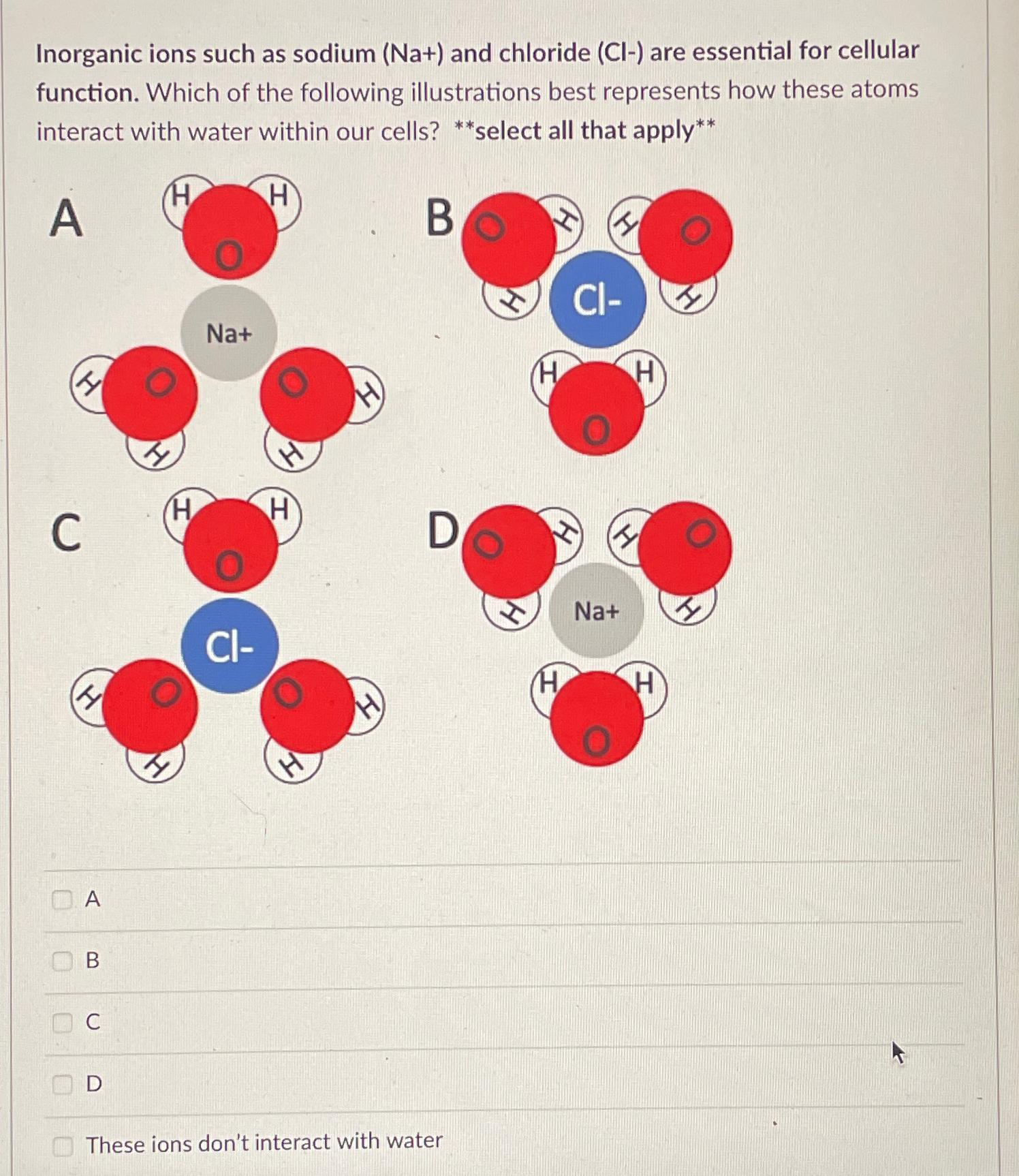 Solved Inorganic ions such as sodium (Na+) ﻿and chloride | Chegg.com