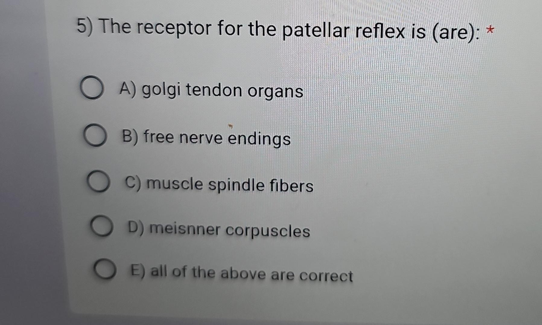 Solved The receptor for the patellar reflex is (are): *A) | Chegg.com