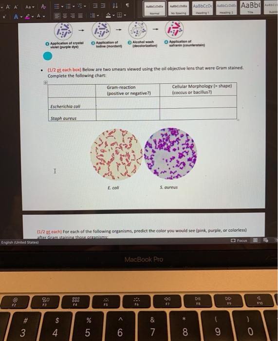 Solved • A A A !!! Abate code AaBbc DG AaBbcese AOA | Chegg.com