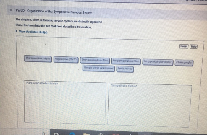 Solved Part D- Organization of the Sympathetic Nervous | Chegg.com